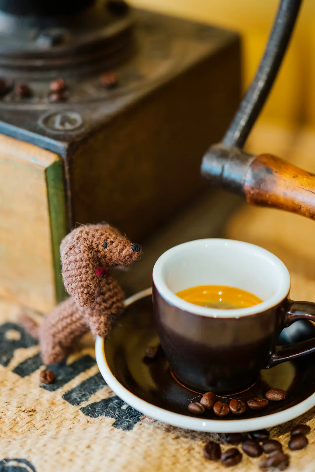 Contact & histoire du Sélène Café - Coffee shop à Quimper